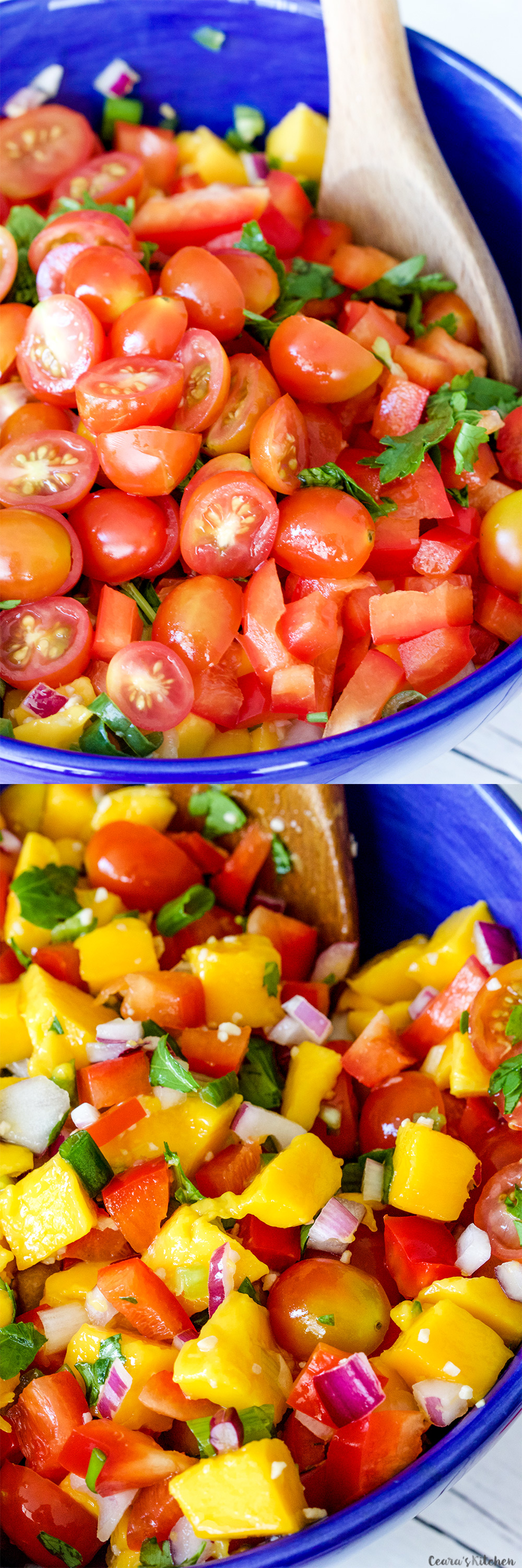 Mango Salsa with Lemon Lime Vinaigrette| Ceara's Kitchen